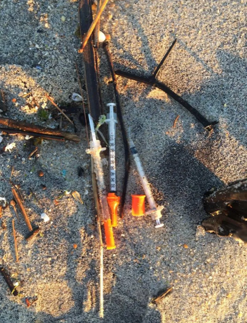 Susan Kathryn Hefti Environmental News Reporter Archive