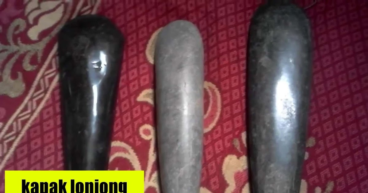 Kapak Lonjong : Pengertian, Ciri-Ciri, Fungsi dan Persebaran | Triks12