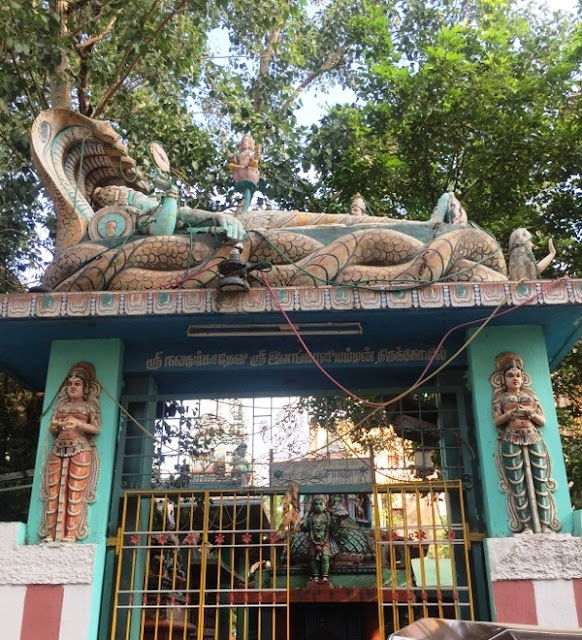 Tamilnadu Tourism: Ilangali Amman Temple, West Mambalam, Chennai