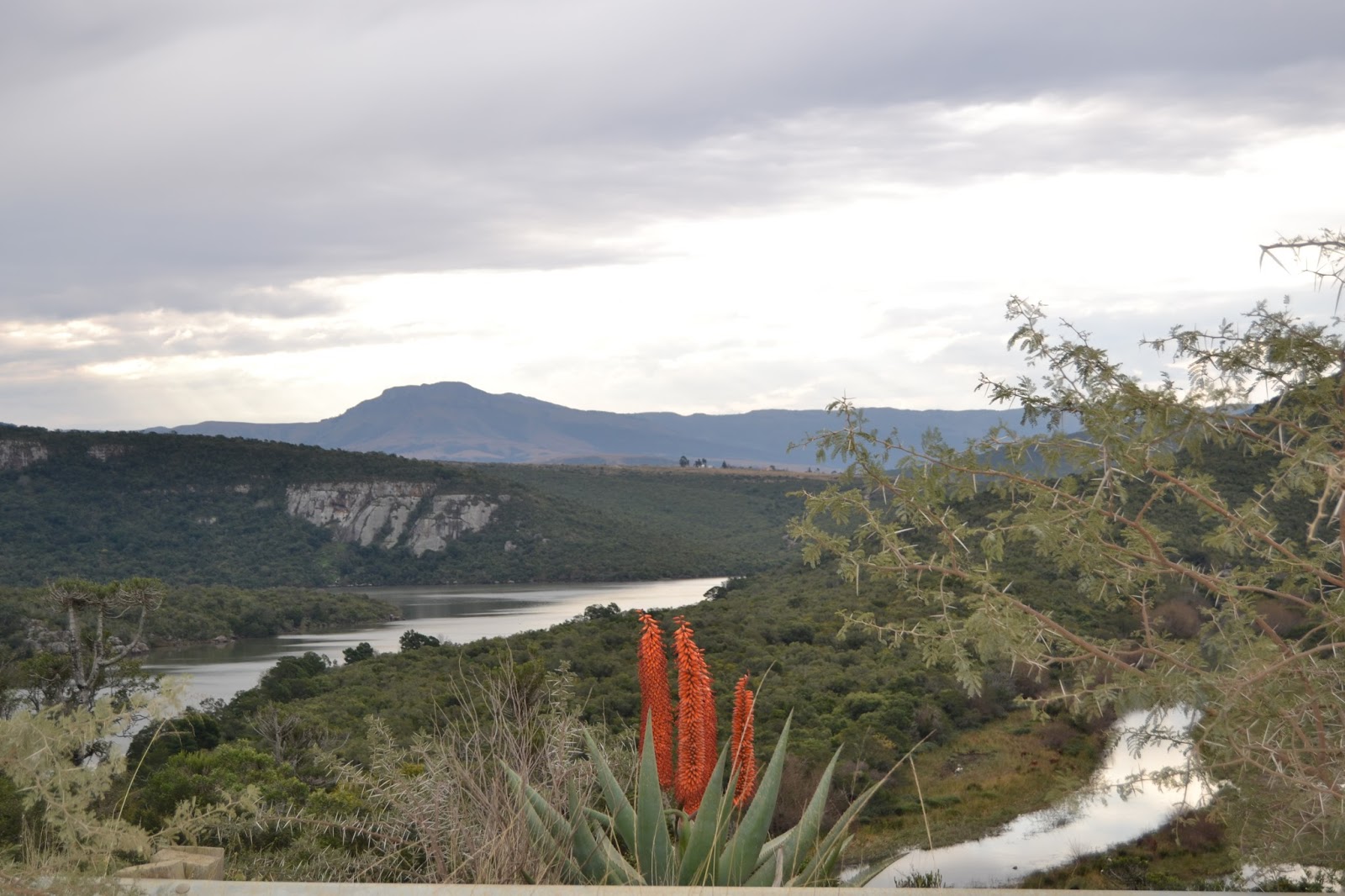 Ah! Lwaganda. Ngqika, King Of The Rharhabe [1776-1829]