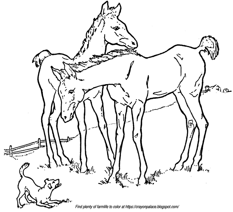 Farm Fence Coloring Page