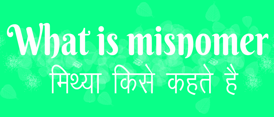 What is misnomer