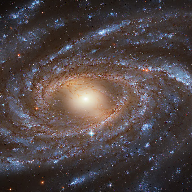Jean-Baptiste Faure: Barred Spiral Galaxy NGC 2336