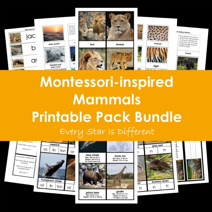 Every Star Is Different: Montessori-inspired Mammals Printable Pack Bundle