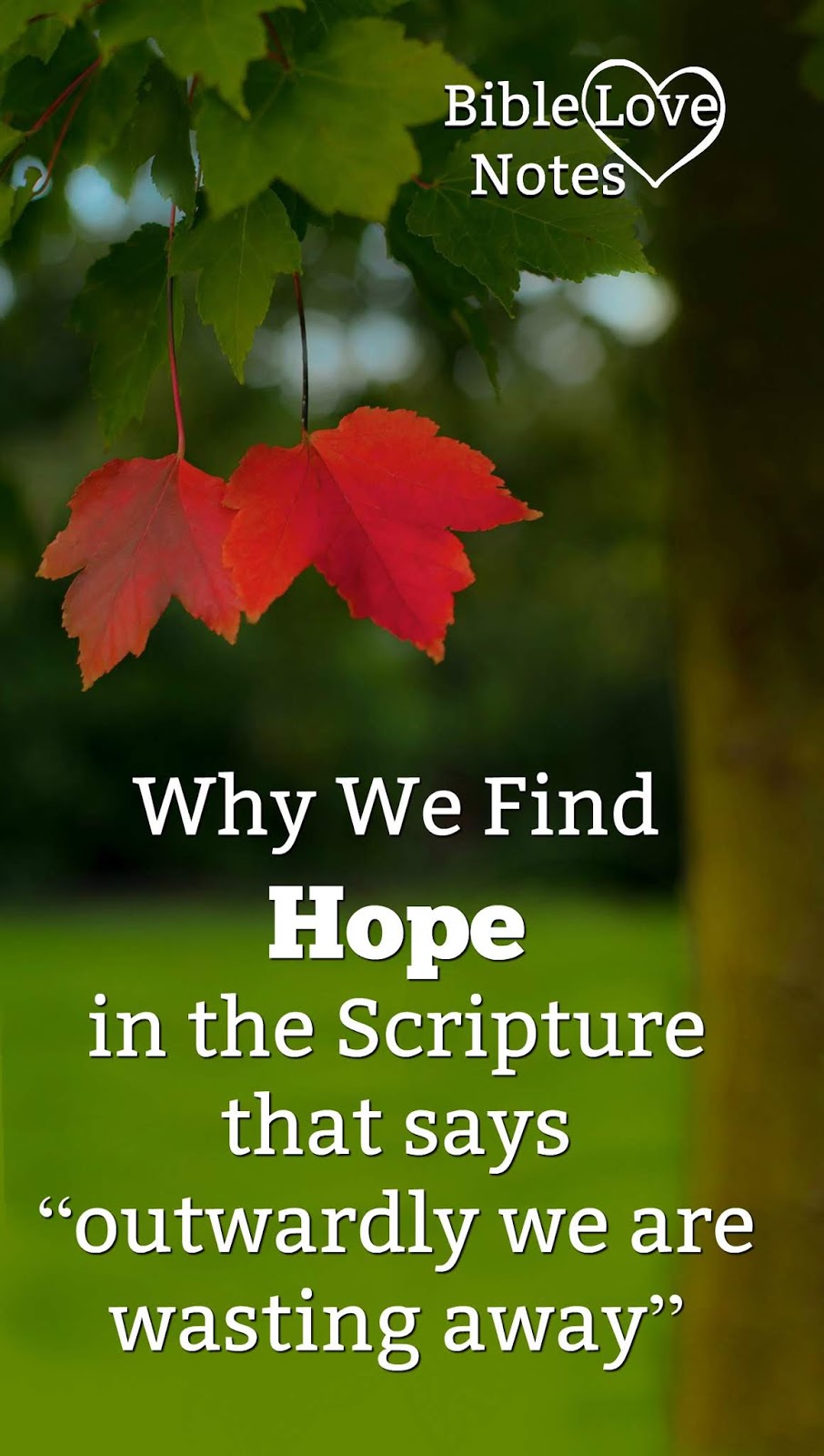 Bible Love Notes: True Hope