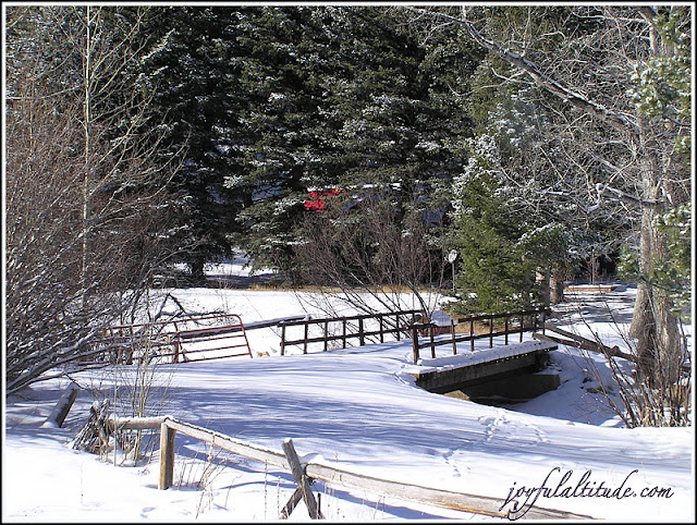 Joyful Altitude: What's to Love About Raymond