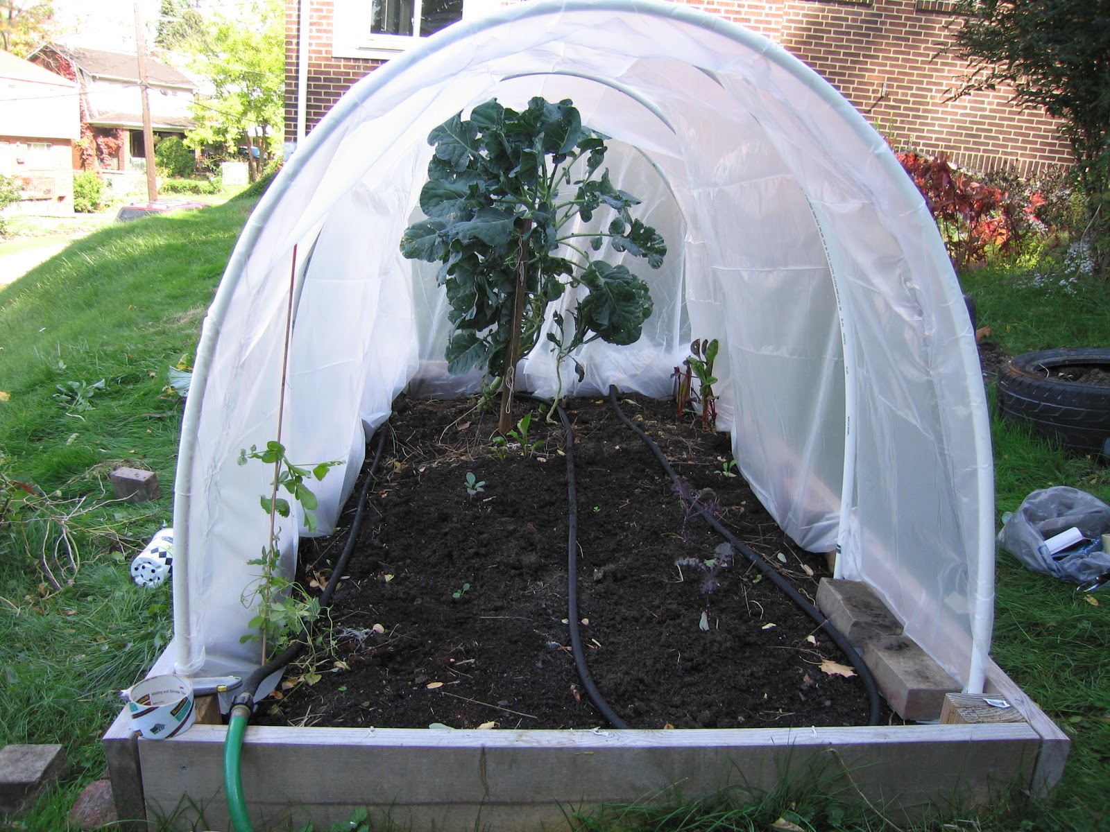 Greedy Green: Cold Frame Construction