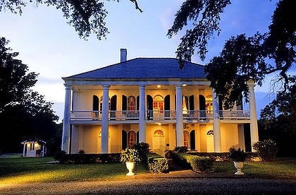 Candyland White Cake Showdown: DJANGO UNCHAINED