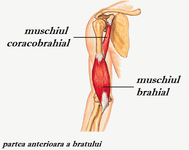 Angel Blue: februarie 2014
