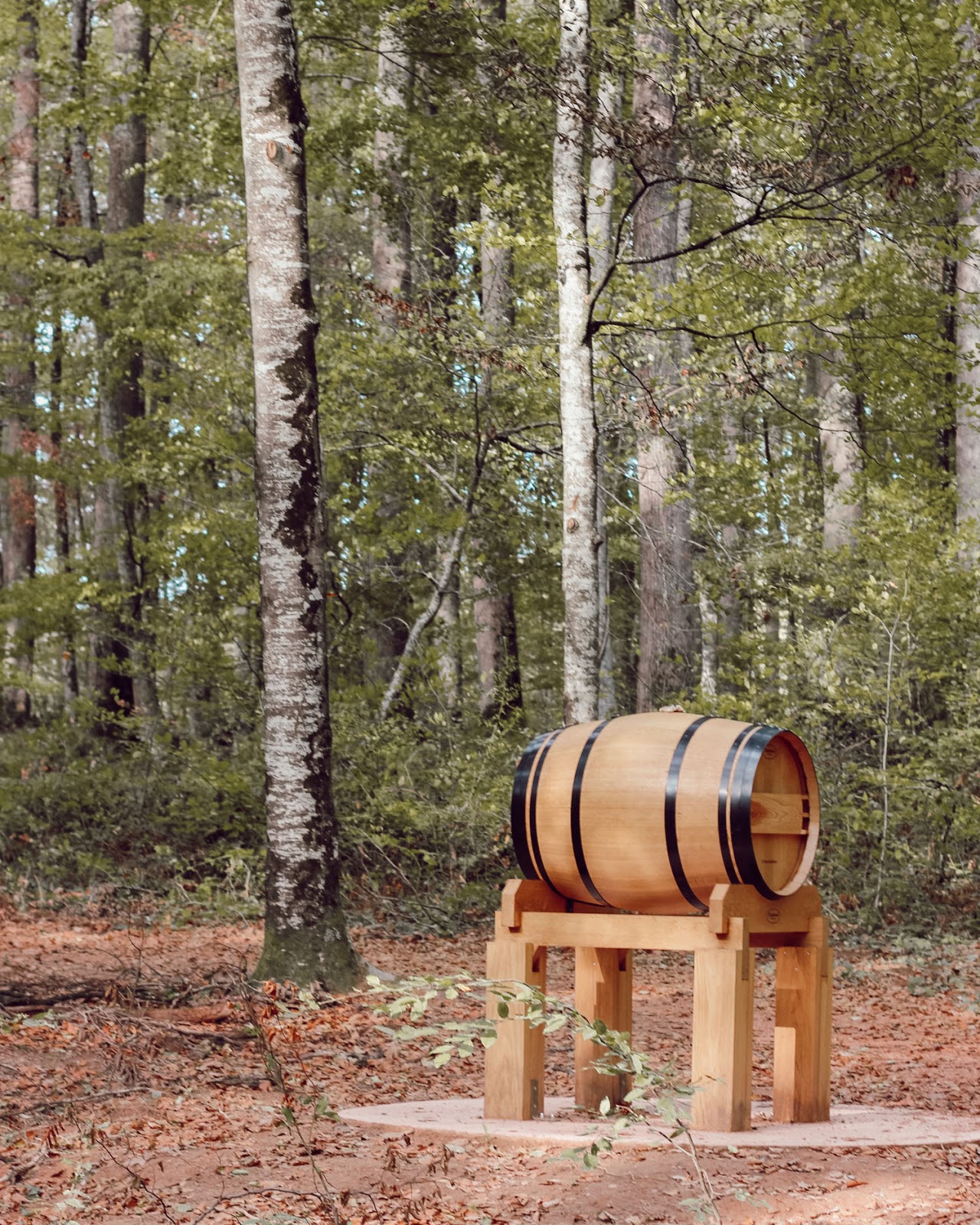 Sentier pédagogique pour découvrir la Futaie Colbert II en Forêt de ...