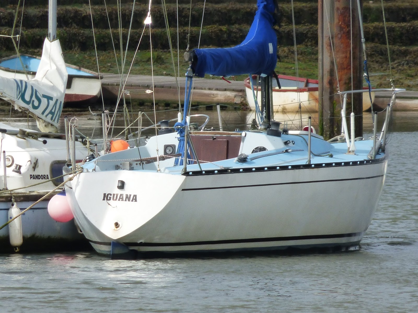 Shockwave40: Iguana - Contessa 25 - Caernarfan Marina 2013