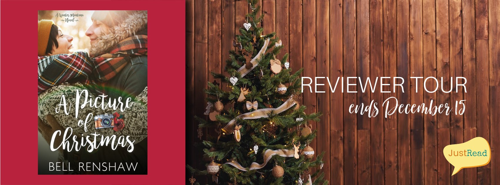 A Picture of Christmas Book Review | Christmas Tree Lane