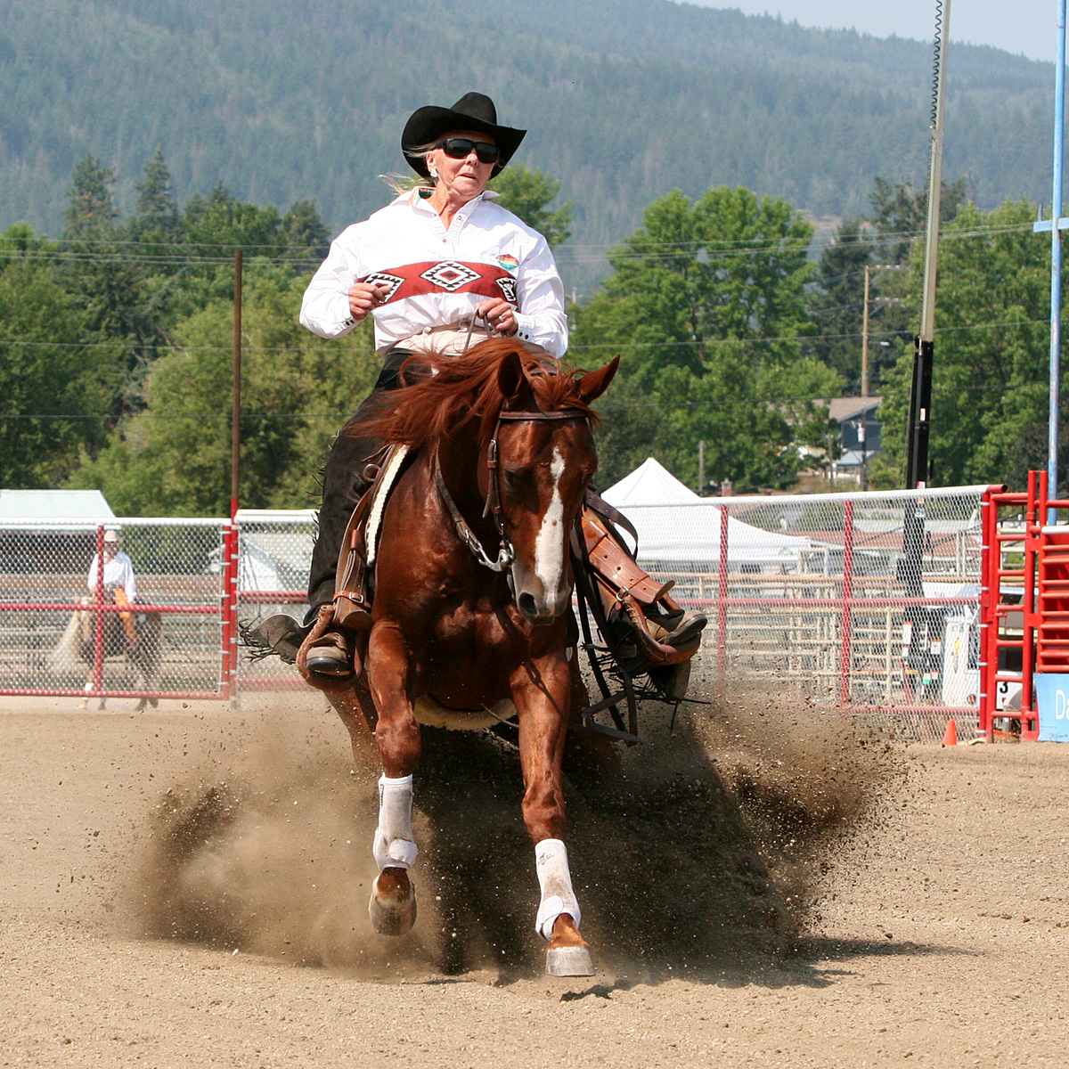 Reining Training Tips ~ ~: Stop Fix #9: Correct a Crooked Stop