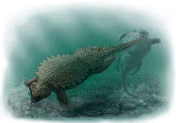 a mesozoic field guide: The Placodonts