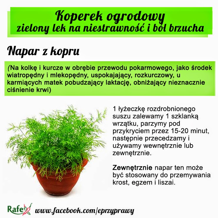 KOPEREK ZIELONY - na niestrawność i ból brzucha!