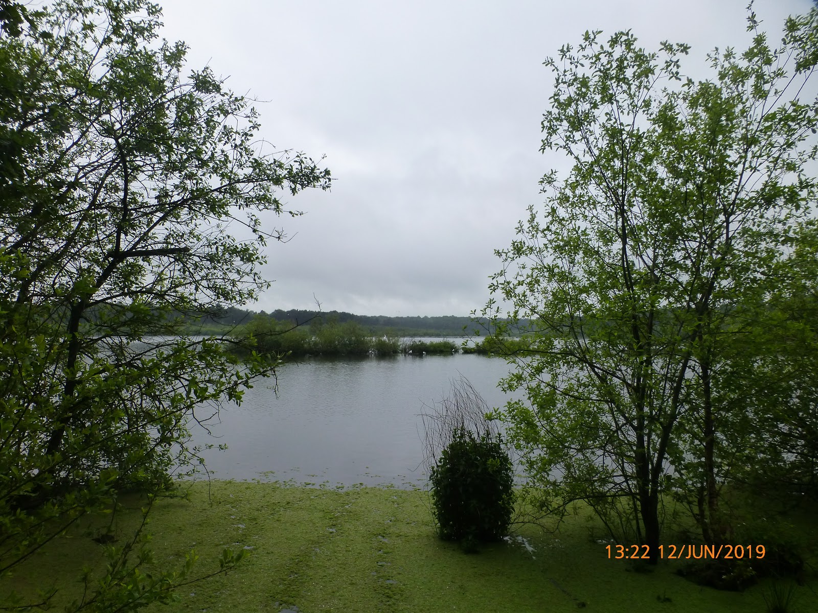 Harris Hikers: Delamere Forest, Blakemere Moss and Pale Heights 12th ...