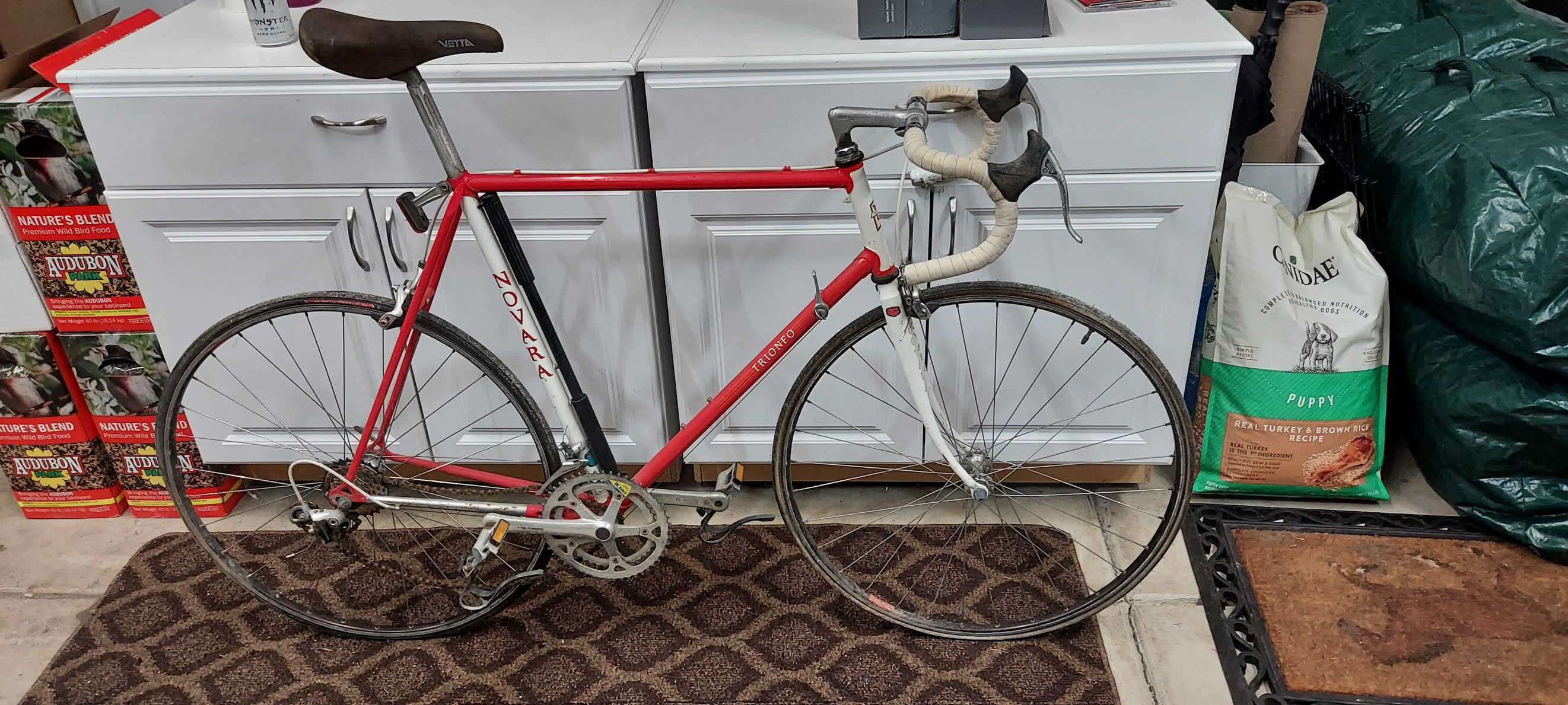 Spud's blog: Beater road bike - Novara Trionfo