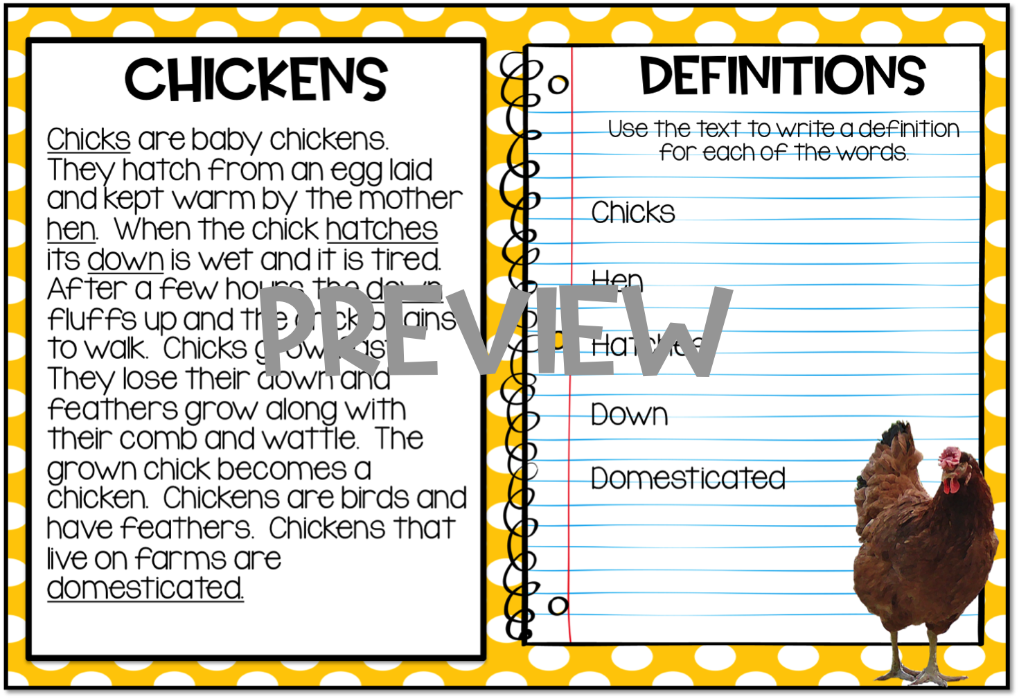 1st Grade Hip Hip Hooray!: Chicks and Bunnies ... Using informational ...
