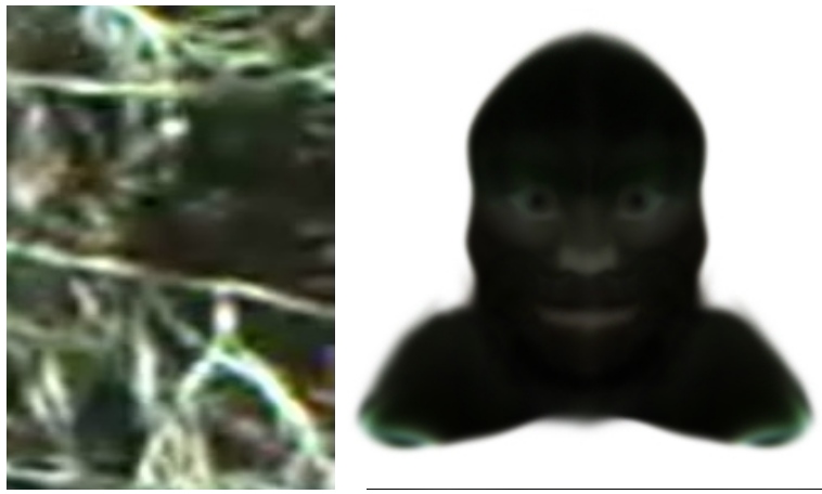 The Bigfoot Field Journal: Uknown Cryptid - Bigfoot? Dogman?