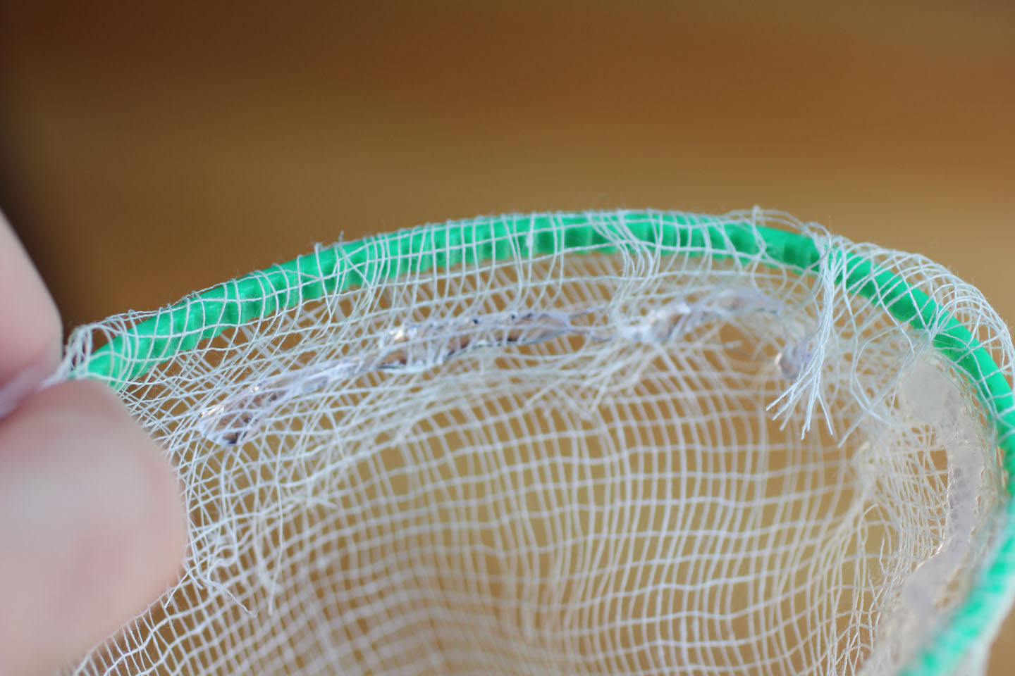 Bug Catcher Net - Repeat Crafter Me