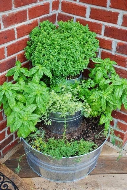 Herb Garden