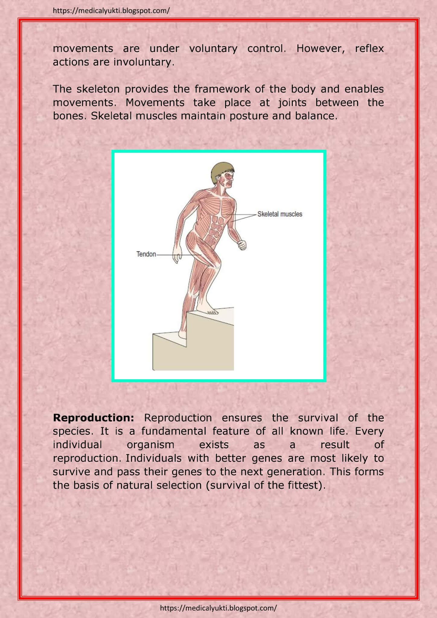 Introduction to the human body - Medical Yukti