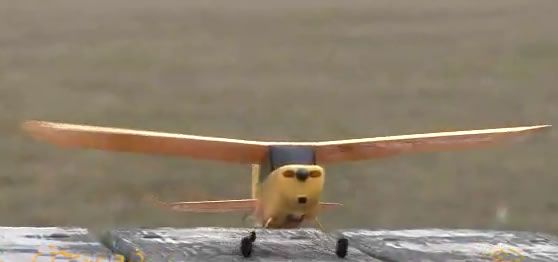 Champ RC Plane Youtube | MICRO RC PLANES | CHEAP RC PLANES