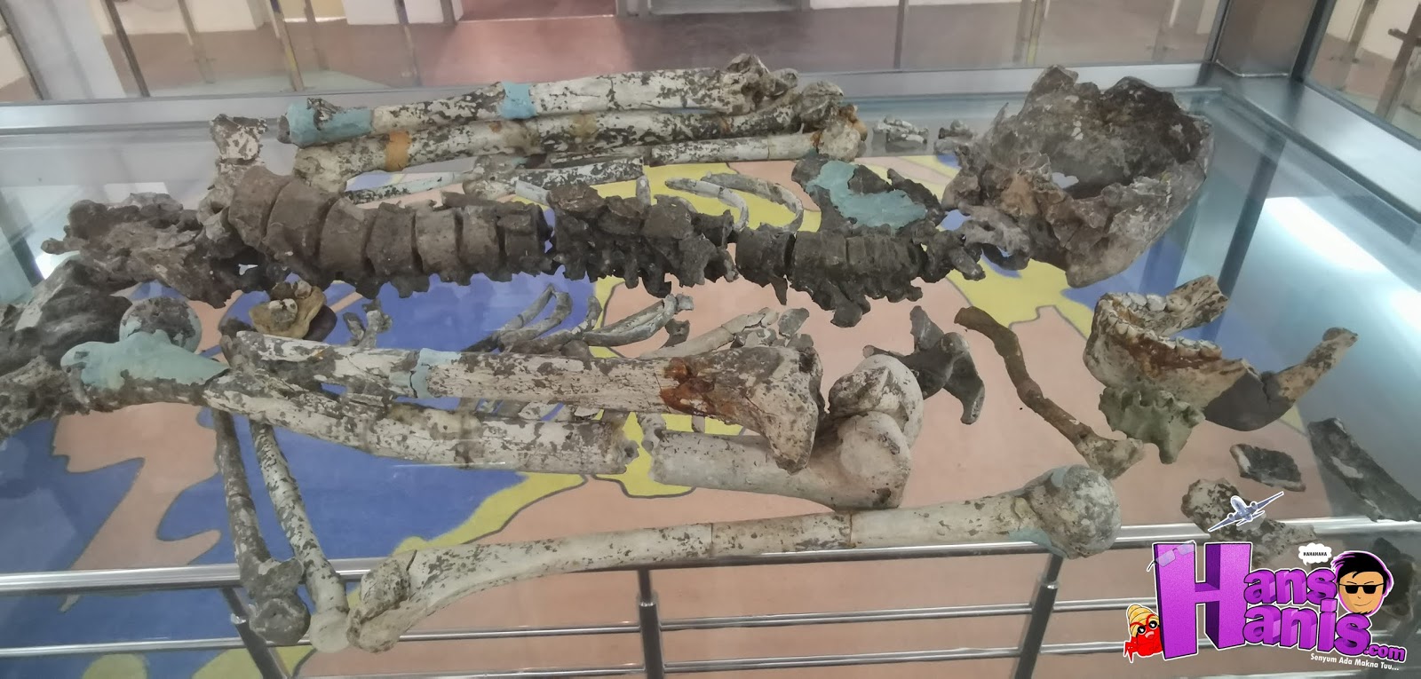 Perak Man Di Galeri Arkeologi Lembah Lenggong