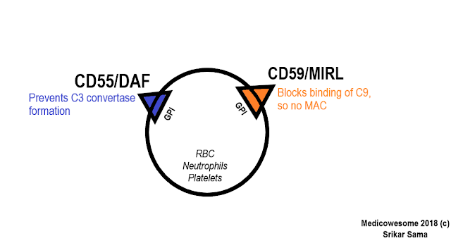 Medicowesome: Oncology
