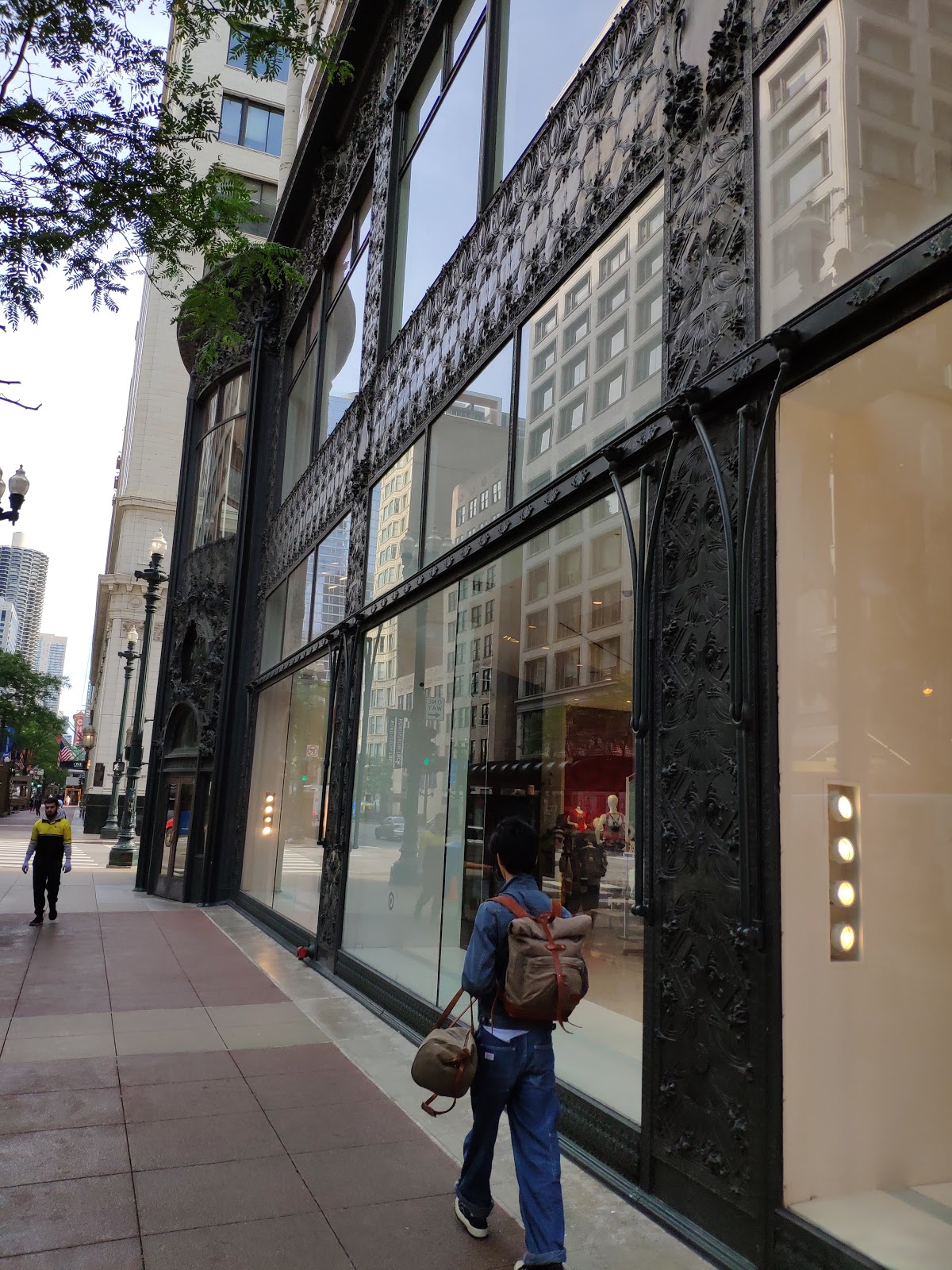 EntreVoir: Louis Sullivan - Carson Building