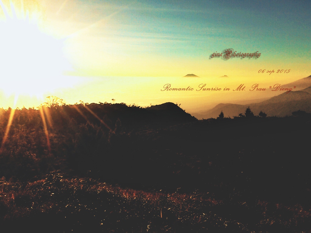 Fisio'Traveller: si Cantik bunga Daisy Gunung Prau Dieng