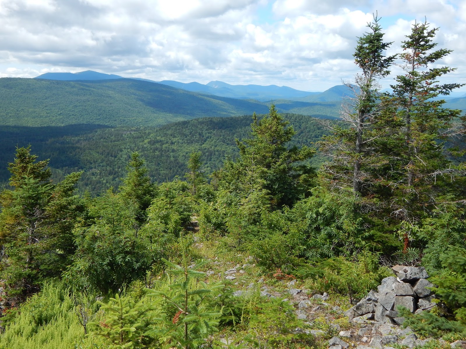 EvanHikes: An Overlooked Summit: Black Cat Mountain