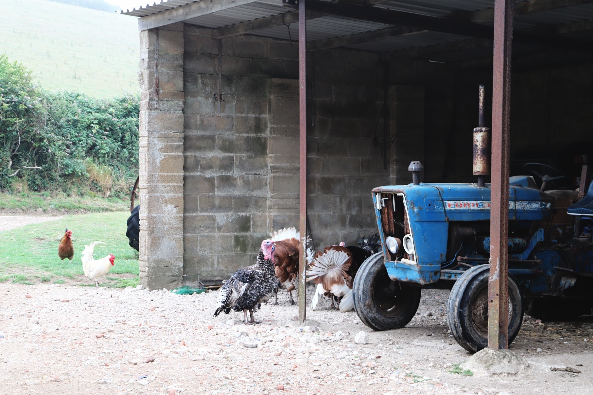 Caravanning at Compton Farm | Journal