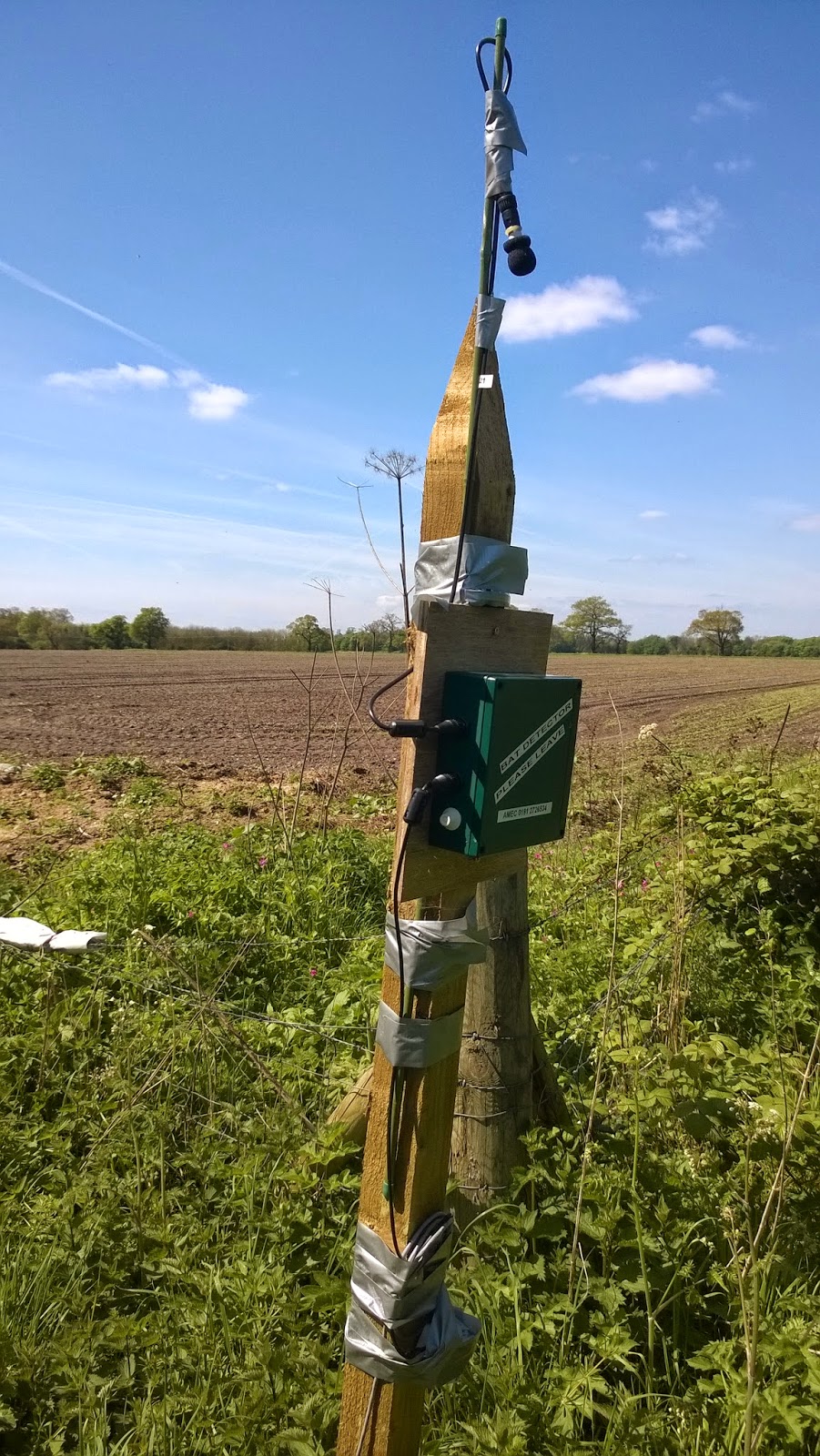 Nocton in Lincolnshire: Wind Farm