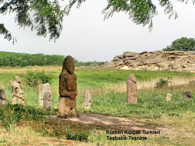 TARİH VE ARKEOLOJİ: The Cumans Turks