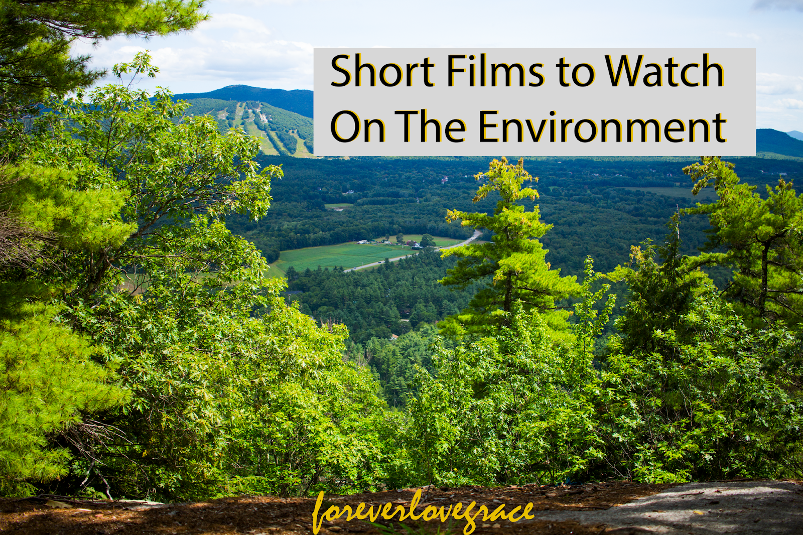 Forever Love Grace: Short Films To Watch About The Environment