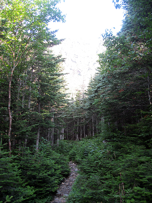 Hiking in the White Mountains: 'The Beasts of the East' ~ Huntington ...