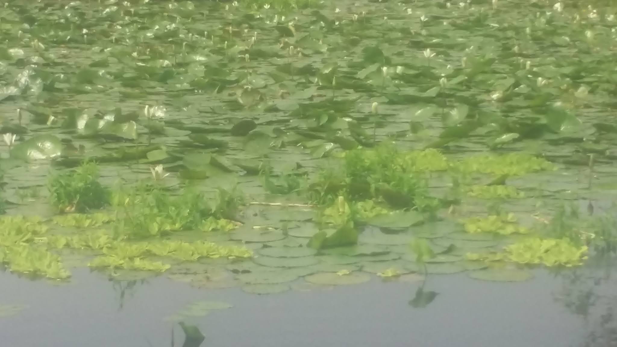 INTRODUCTION OF THE GAME RESERVE