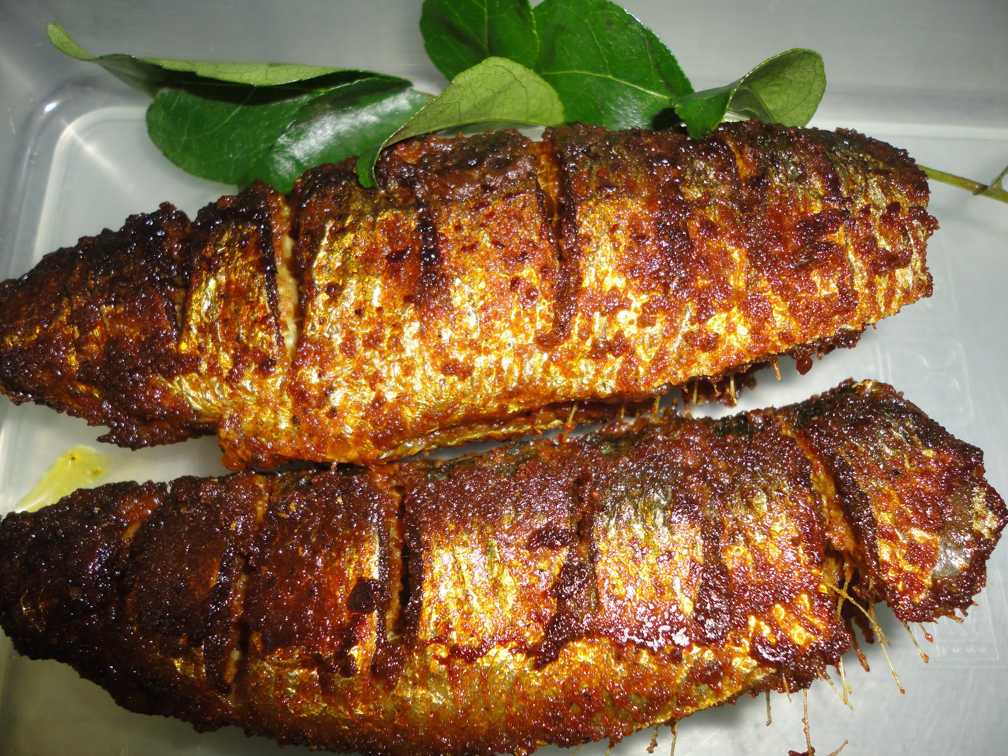 Marine fish, Freshwater fish - Which is rich in nutrient?