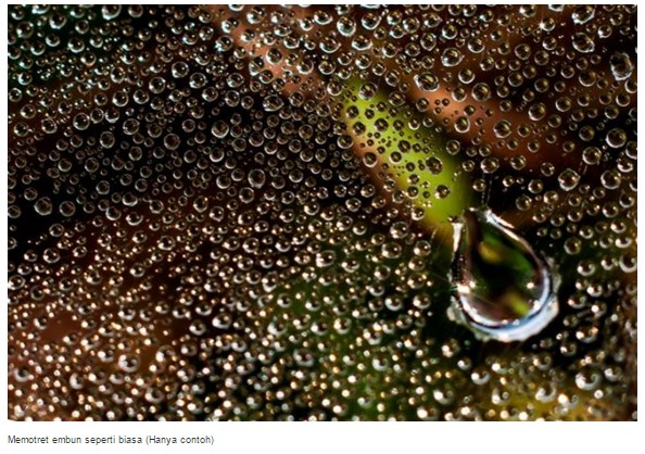 MOTRET EMBUN DENGAN EFISIEN DAN SINGKAT - BACA STATUS