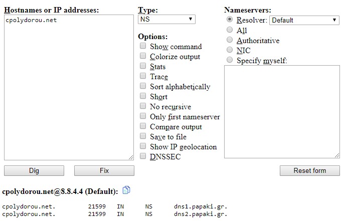 Dns Query Web Interface