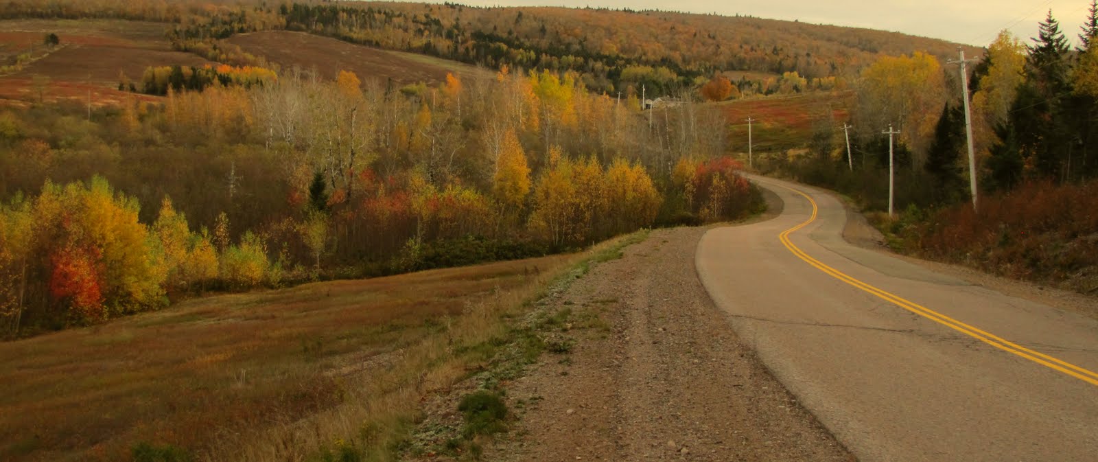 London-Wul Fibre Arts: FROM ROAD TRIP TO RUG