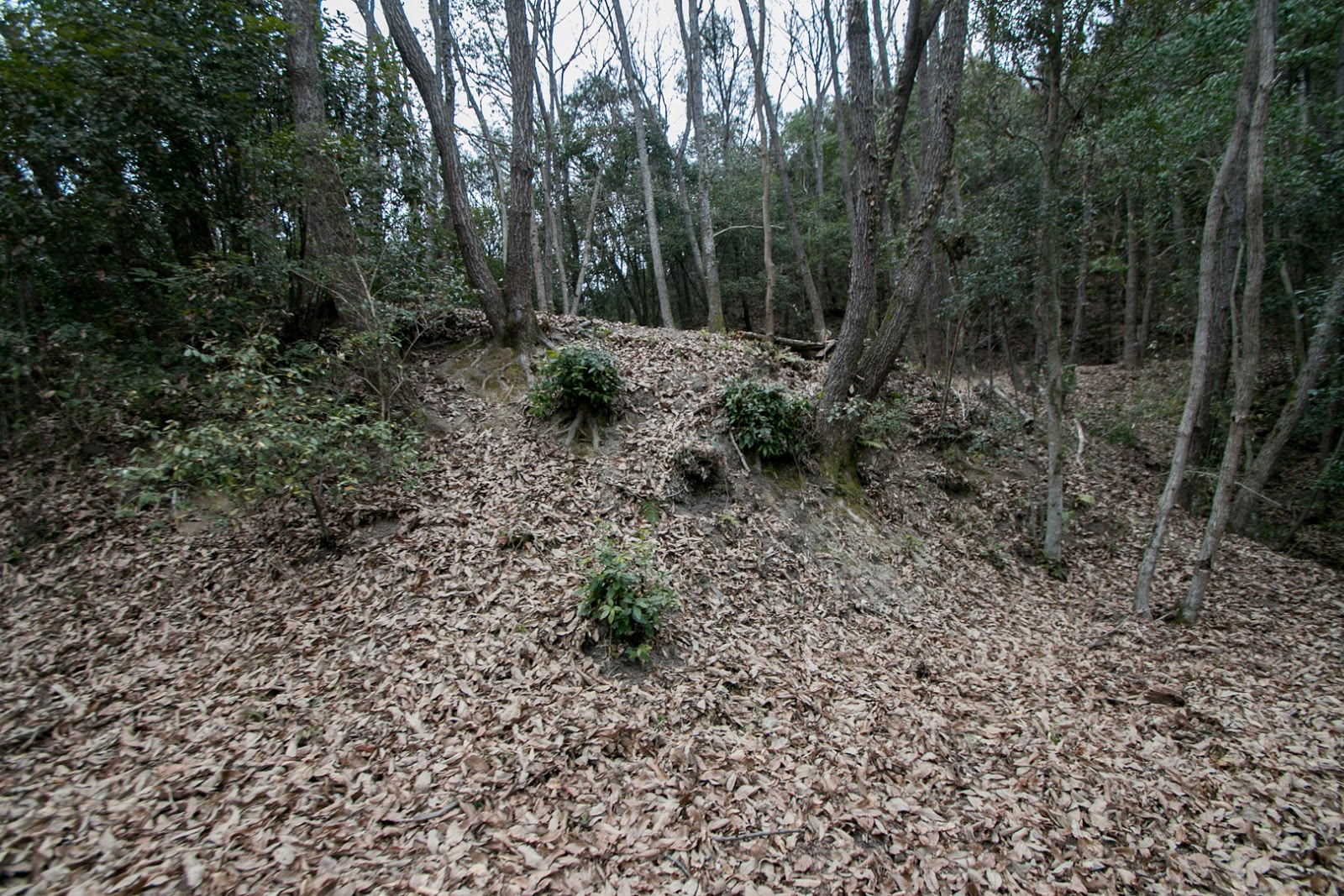 Niitakayama Castle -Intellectual pillar of Mouri clan (2)- | Japan ...