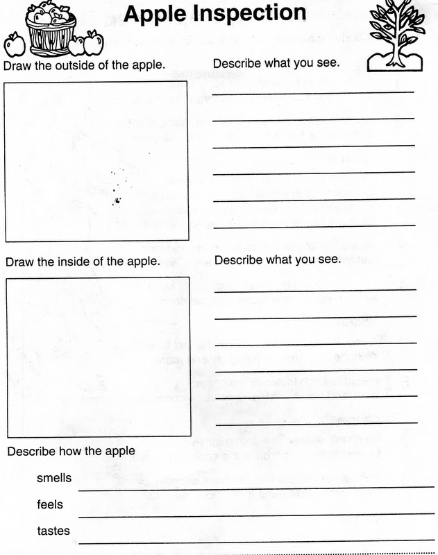 ELEMENTARY SCHOOL ENRICHMENT ACTIVITIES: JOHNNY APPLESEED APPLE INSPECTION