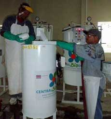 Cuba, Isla Mía : Biodiesel en Cuba sin afectar alimentación humana