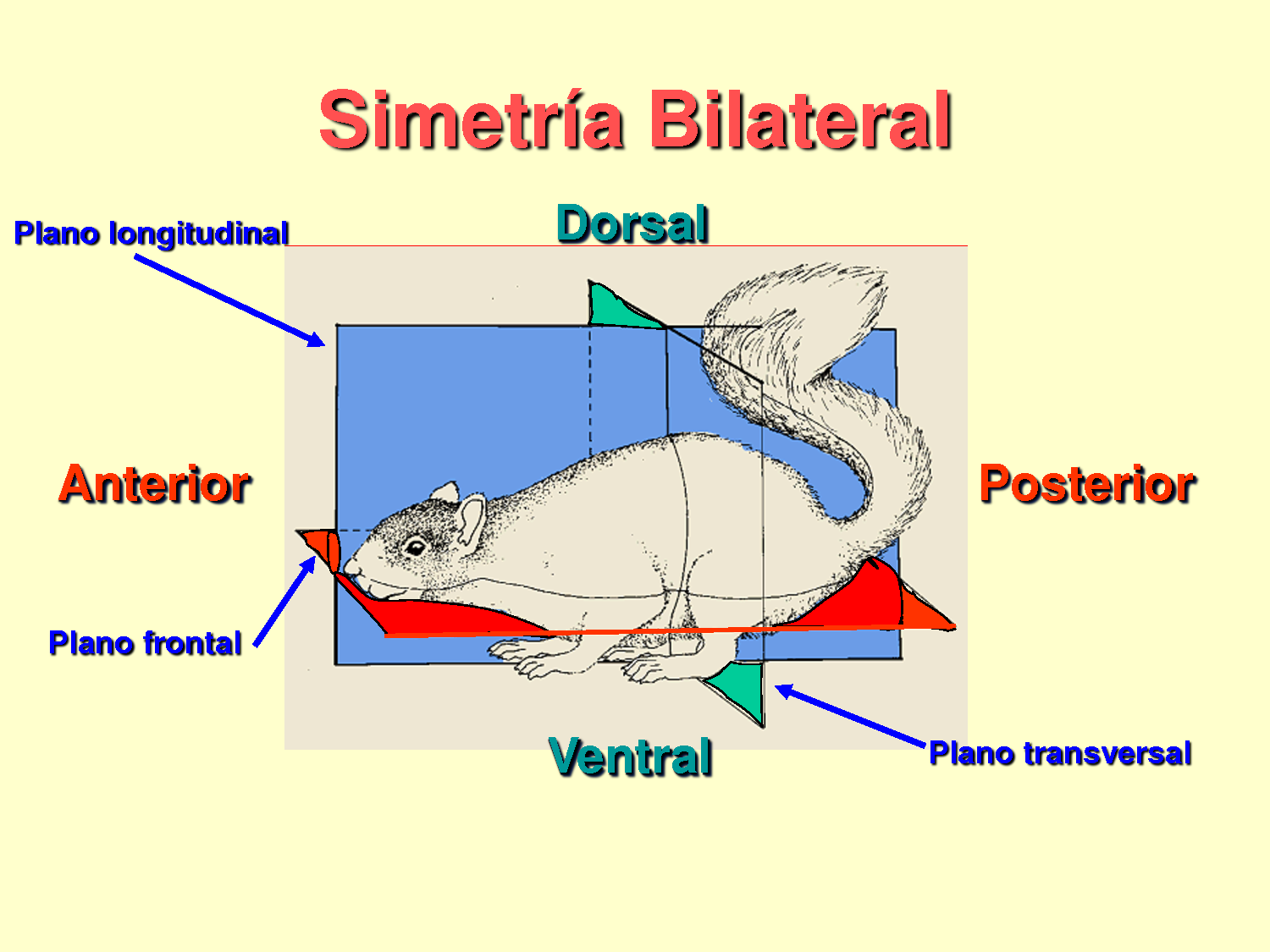 Zoología para todos