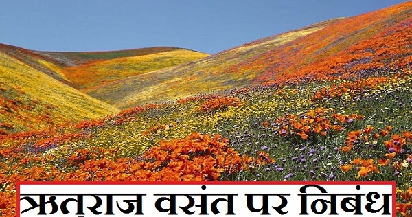 ऋतुराज वसंत पर निबंध। Essay on Spring Season in Hindi | HindiVyakran