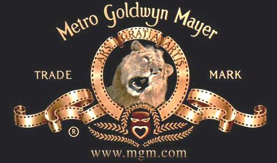 Introduction to Digital Media Art: MGM Logo Redone