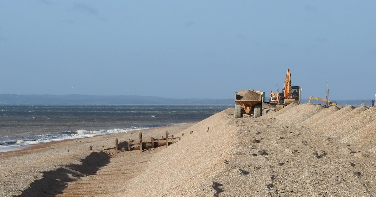 Plovers Blog: Scrub-bashing