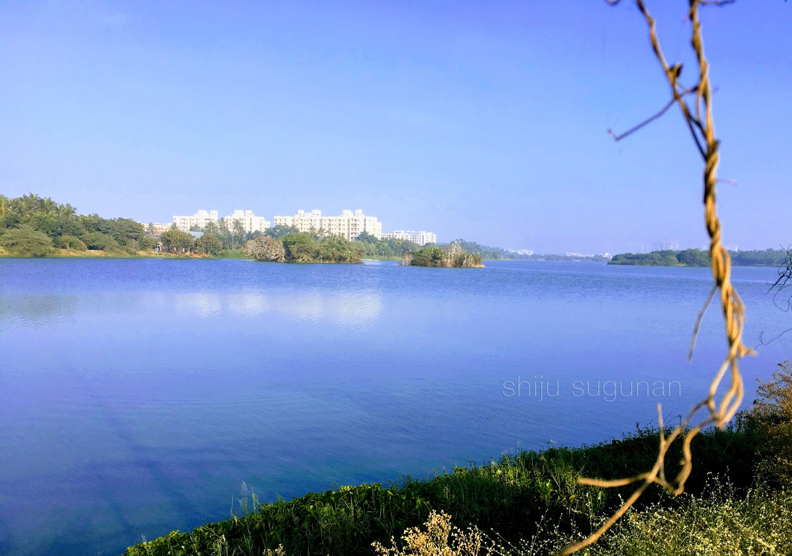 Cranium Bolts: Jakkur lake revisited